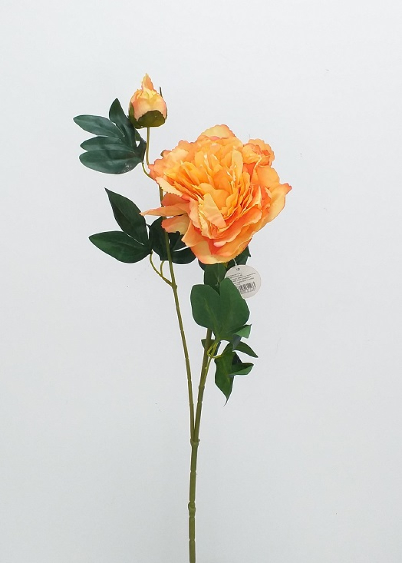 Haste de camélia 65cm (144) CP1123B B | Fertin