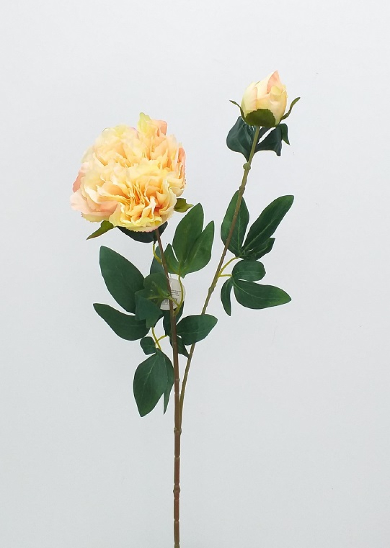 Haste de camélia 65cm (144) CP1123B B | Fertin